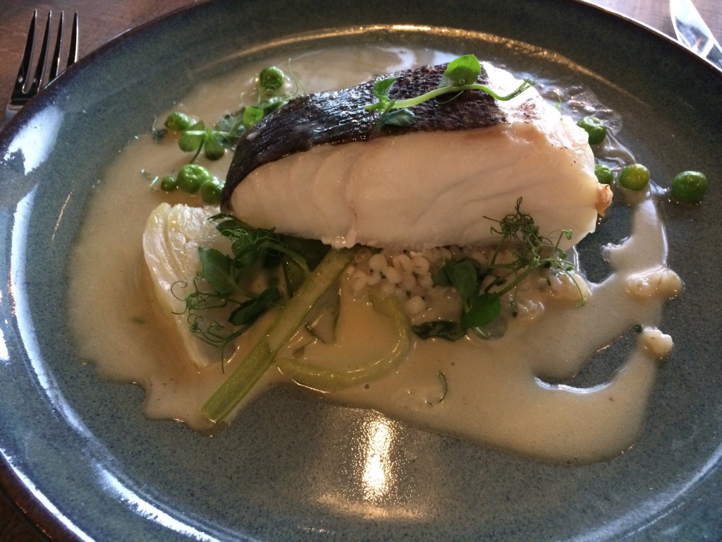 Recensie Rotown – Lot Piscaer